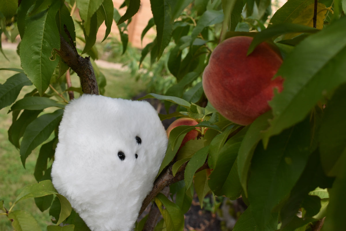 Sucklet – Item Label